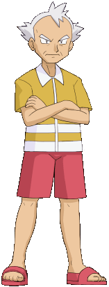 Personagens: Pryce – Pokémon Mythology